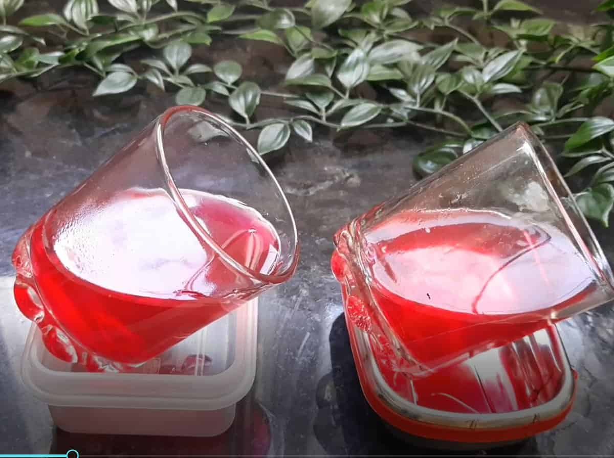 Jelly Custard Shots - Raksha's Kitchen